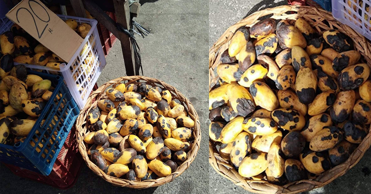 TIGNAN: Mga prutas na hindi nabenta noong Holiday season, nabulok