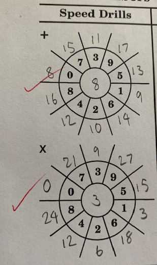 Cummins Life: Mastering Essential Math Skills Book 2 Middle Grades/High ...