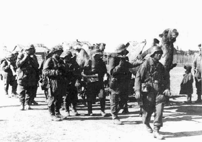 NAZI JERMAN: Foto Kamel (Unta) dan Tentara Jerman