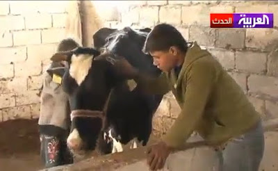 Mich Café: The Syrian guests in a Turkish shed