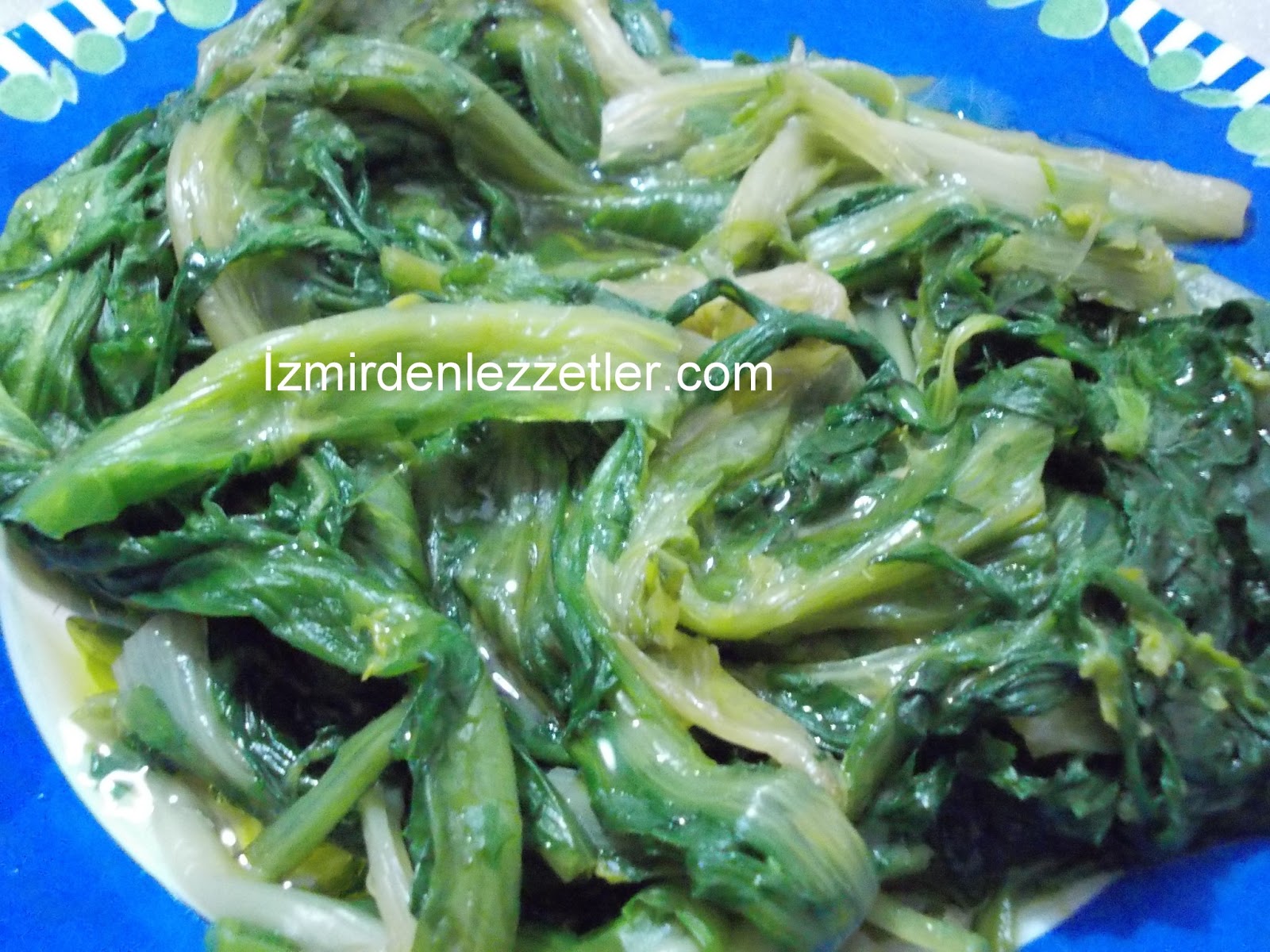 Radika Salatası | İzmirdenlezzetler