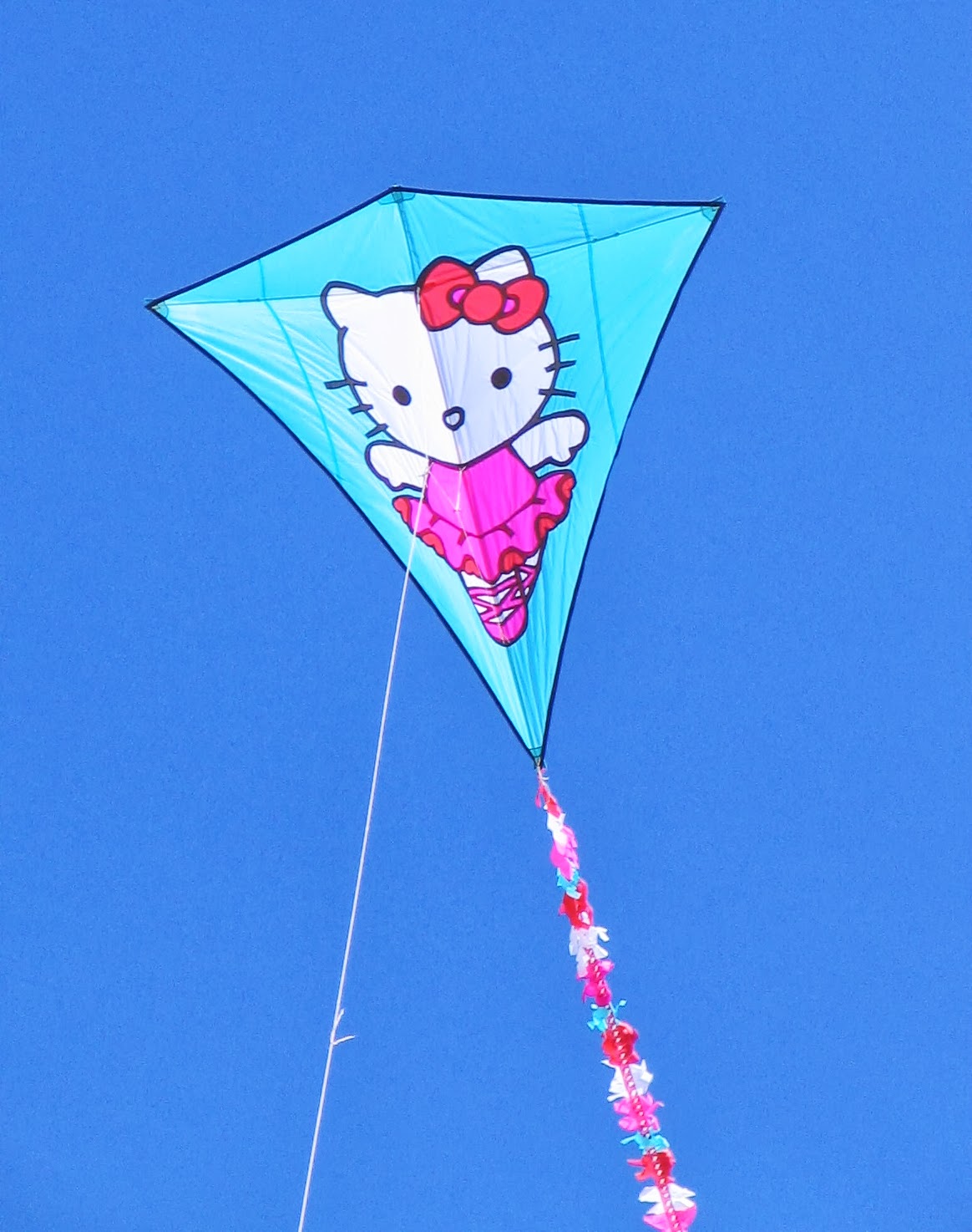 The Shavit Kite Gallery: Hello Kitty Eddy - 2013
