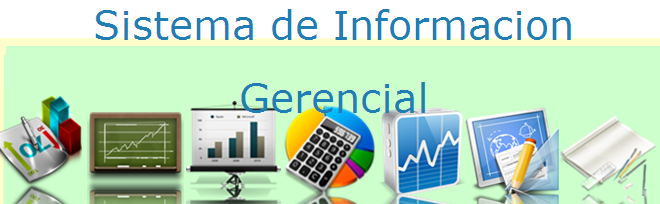 Sistemas De Información Gerencial