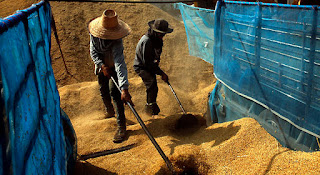 Thai E-News : EU's Invitation to ex-Thai PM Yingluck is Confirmed – but ...