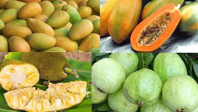 beautiful BANGLADESH from inside and outside: Bangladesh will be a Land ...