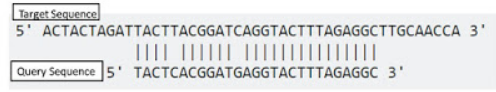 Bioinformatics Analysis:Comparison between Global and Local Alignment