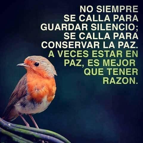 TENER LA RAZÓN | Casa de Oracion en Mision Avivamiento