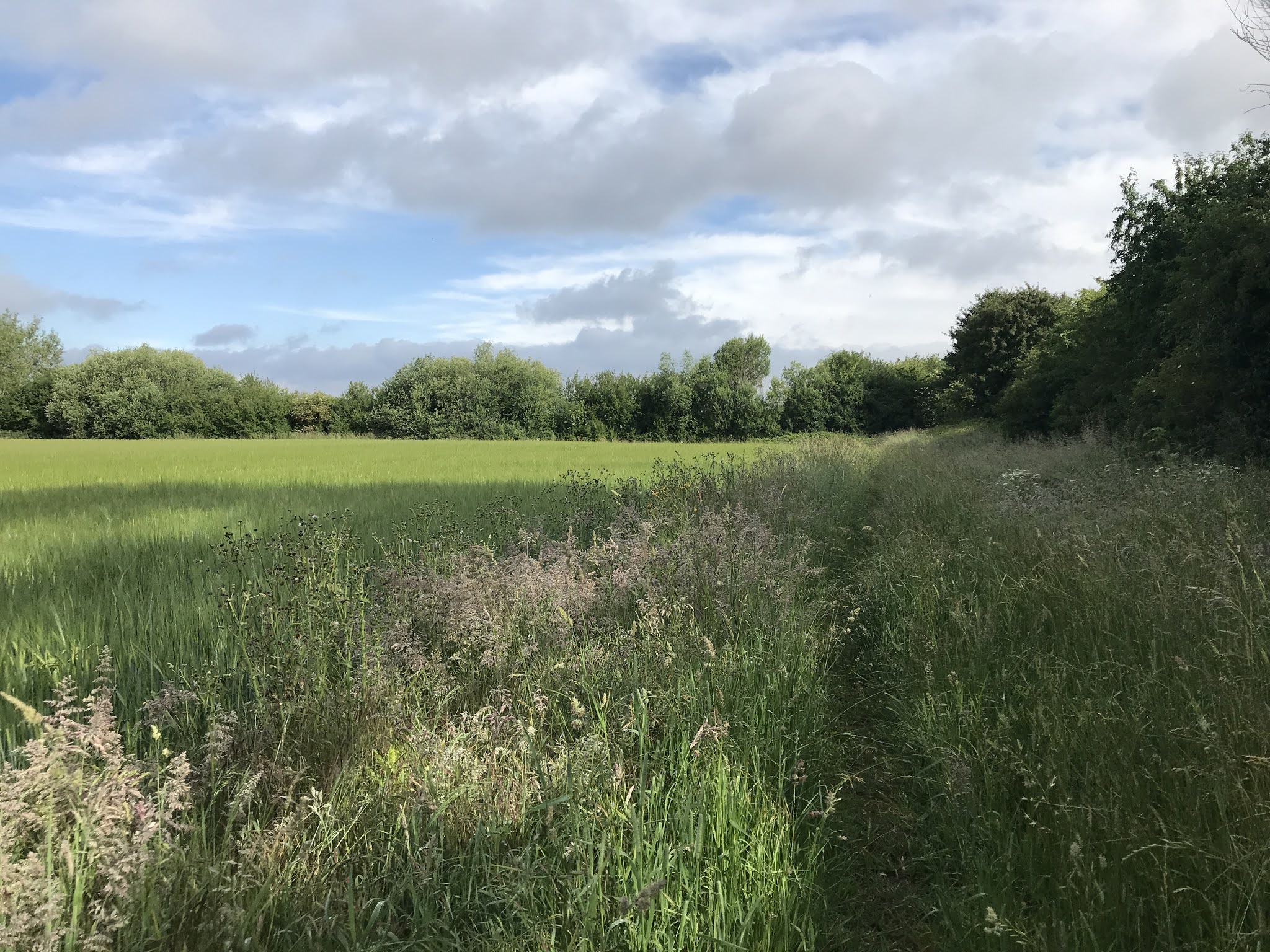 Lower Windrush Valley Project