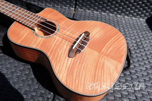 Luna High Tide Exotic Mahogany Concert Ukulele - REVIEW