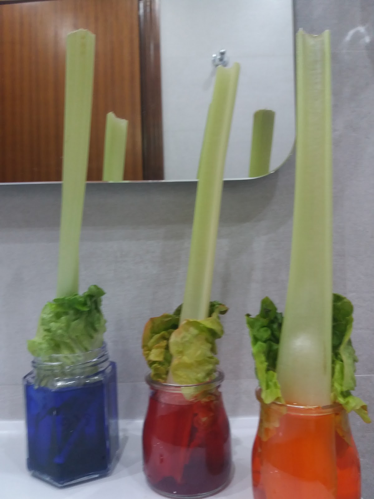 Tartessos colabora 2º ciclo: Naturales 3º Experimento de colorantes con ...