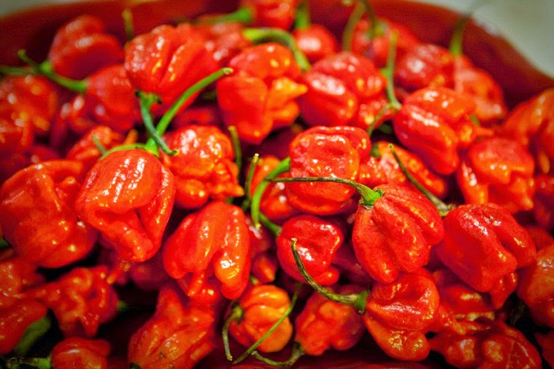 Awakenings: Another HOTTIE...& this time, Spicy!