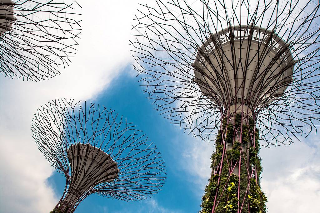 The Supertrees of Singapore ~ Kuriositas