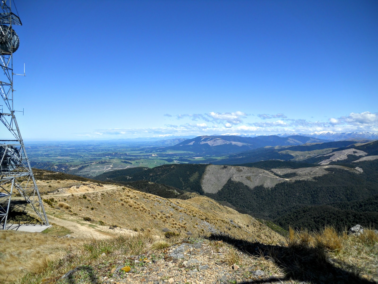 Tramping in the New Zealand backcountry: NZ Bush Adventures: Mt Grey ...