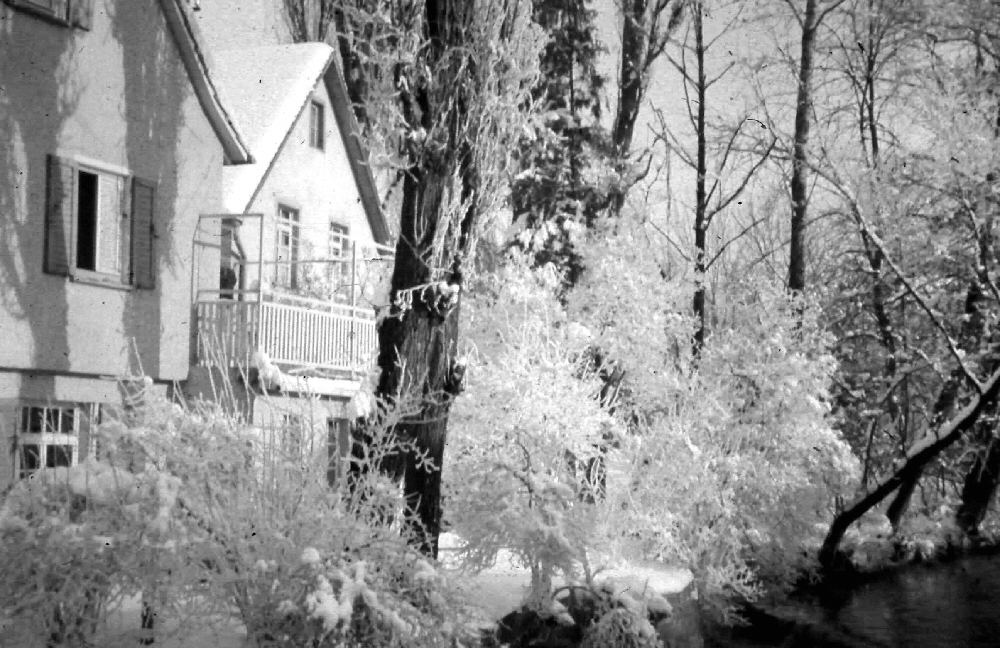 Betzinger Portfolio: Winter 1956