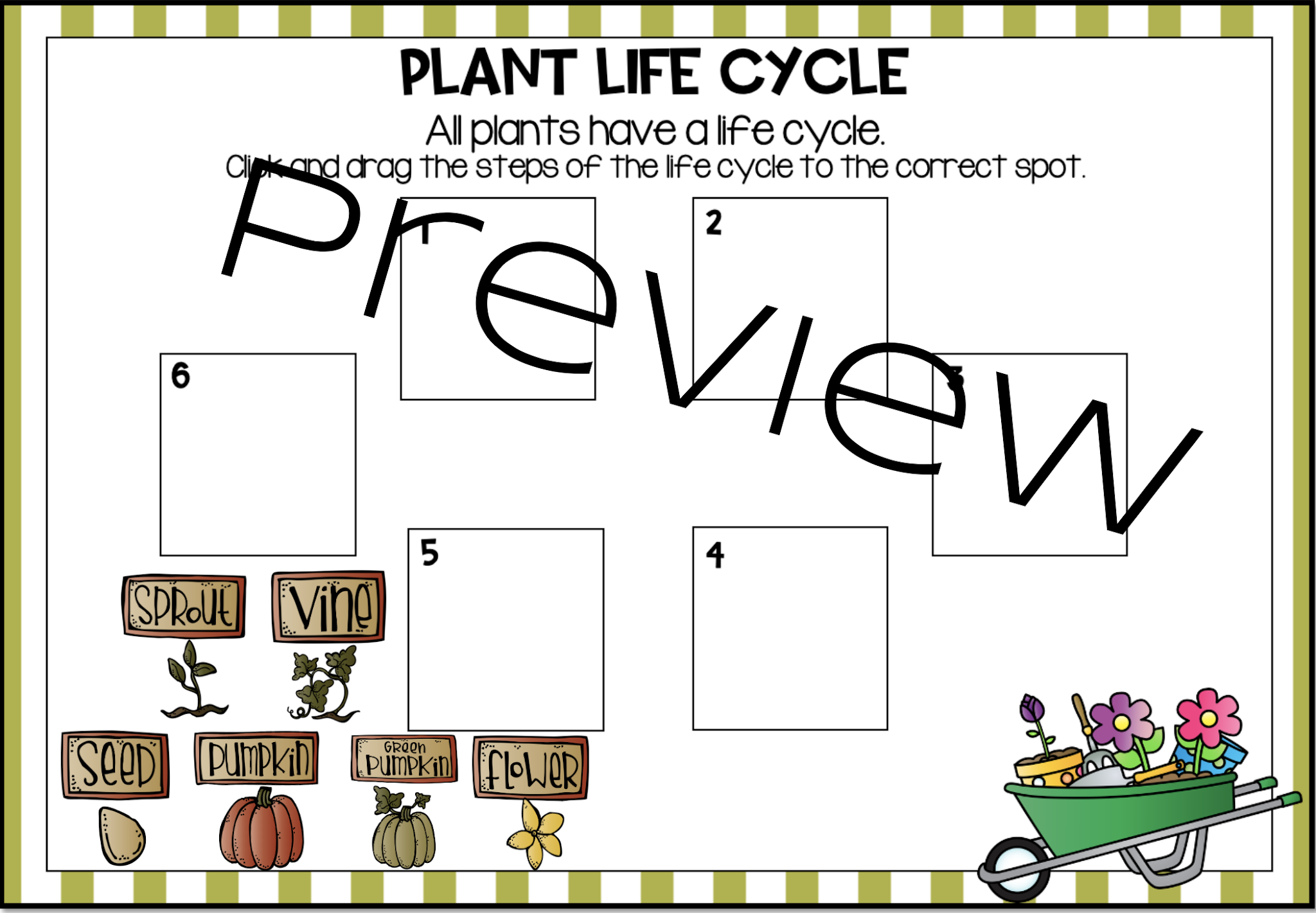 1st Grade Hip Hip Hooray!: NGSS... Life Science...Exploring Plants and ...