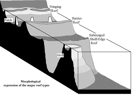 Rapid Uplift: A Buried Devonian Manhattan Made Of Calcium Carbonate
