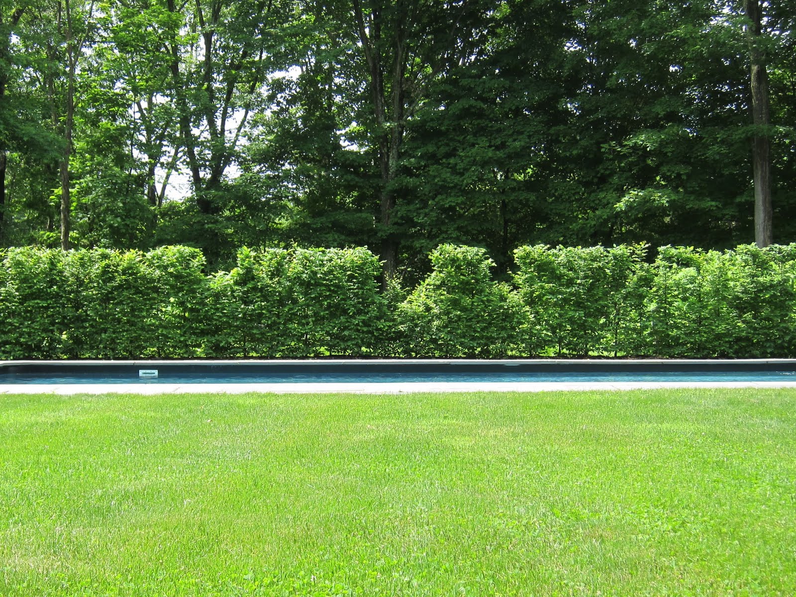 Harry Allen Design Diary: May 2011