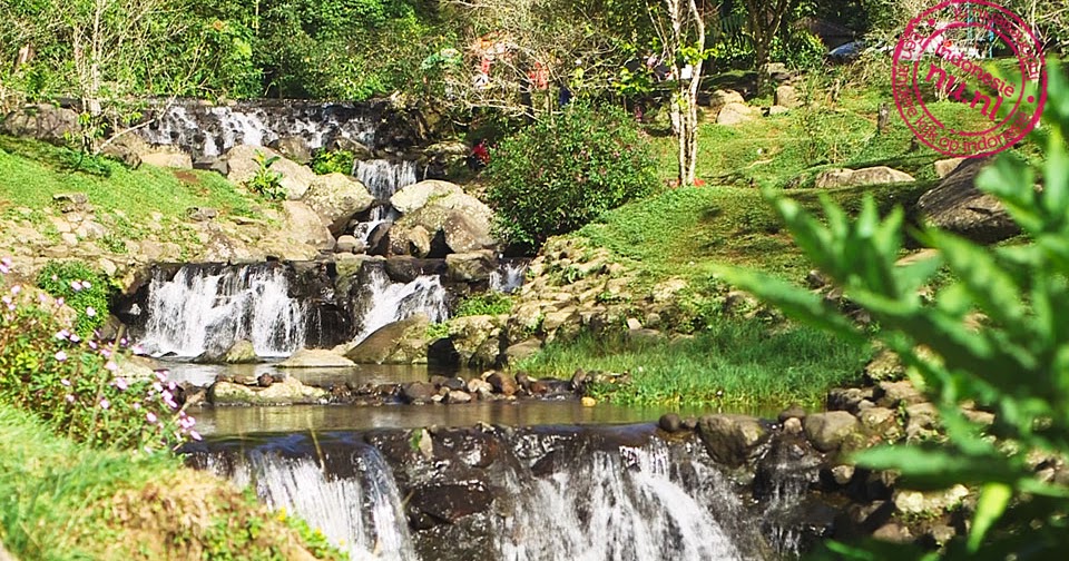 De botanische tuin van Cibodas