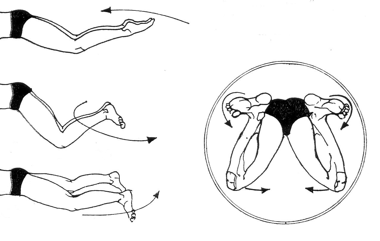 Swimming-Synergy ....: 11 / Legile mecanicii evocate la inot