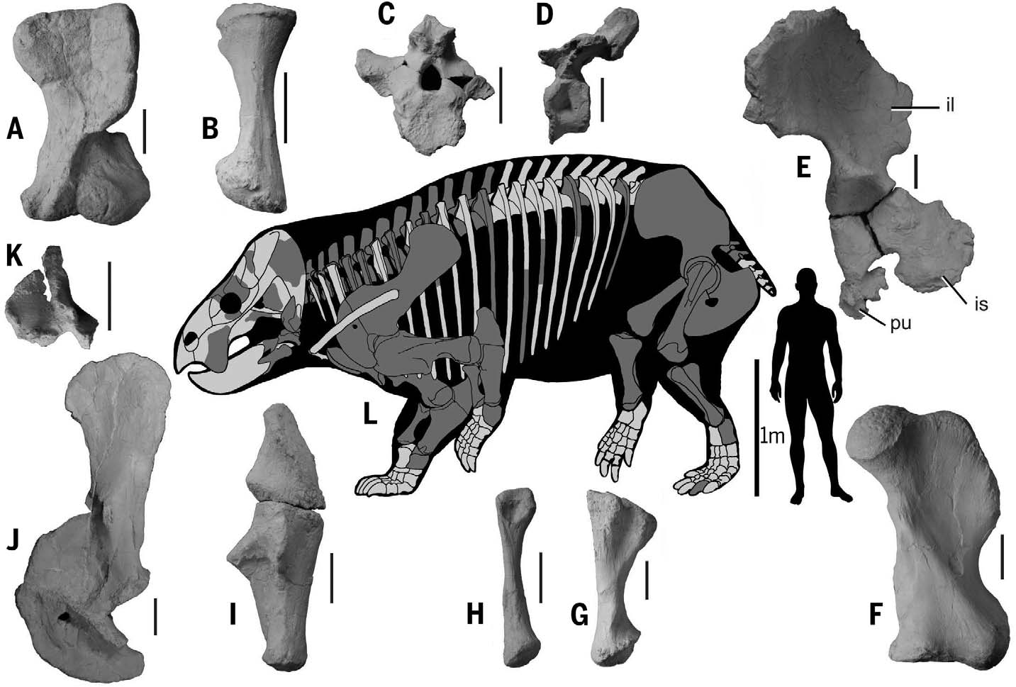 Waxing Paleontological: Big Finish to 2018