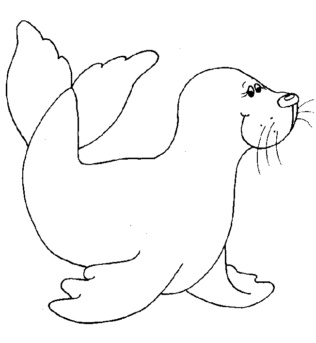 foca leu de mare de colorat gratuit ~ Desene Imagini de colorat