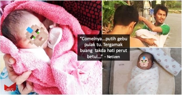 Kucing jumpa bayi baru lahir atas rumput - HARIAN MELAYU