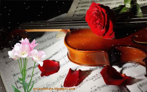 Imagini superbe,poze animate cu sclipici,gifuri love