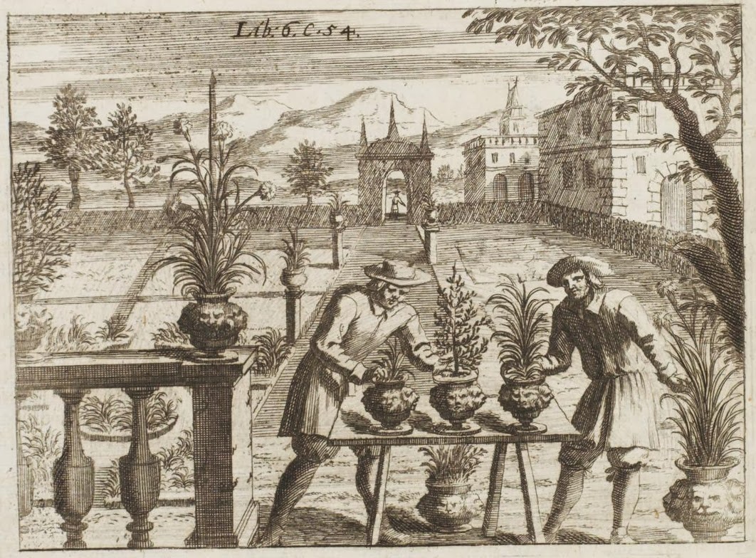 BibliOdyssey: November 2013