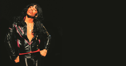 BLOG DO DANIEL SKITER 3: RICK JAMES - ICON (2010)