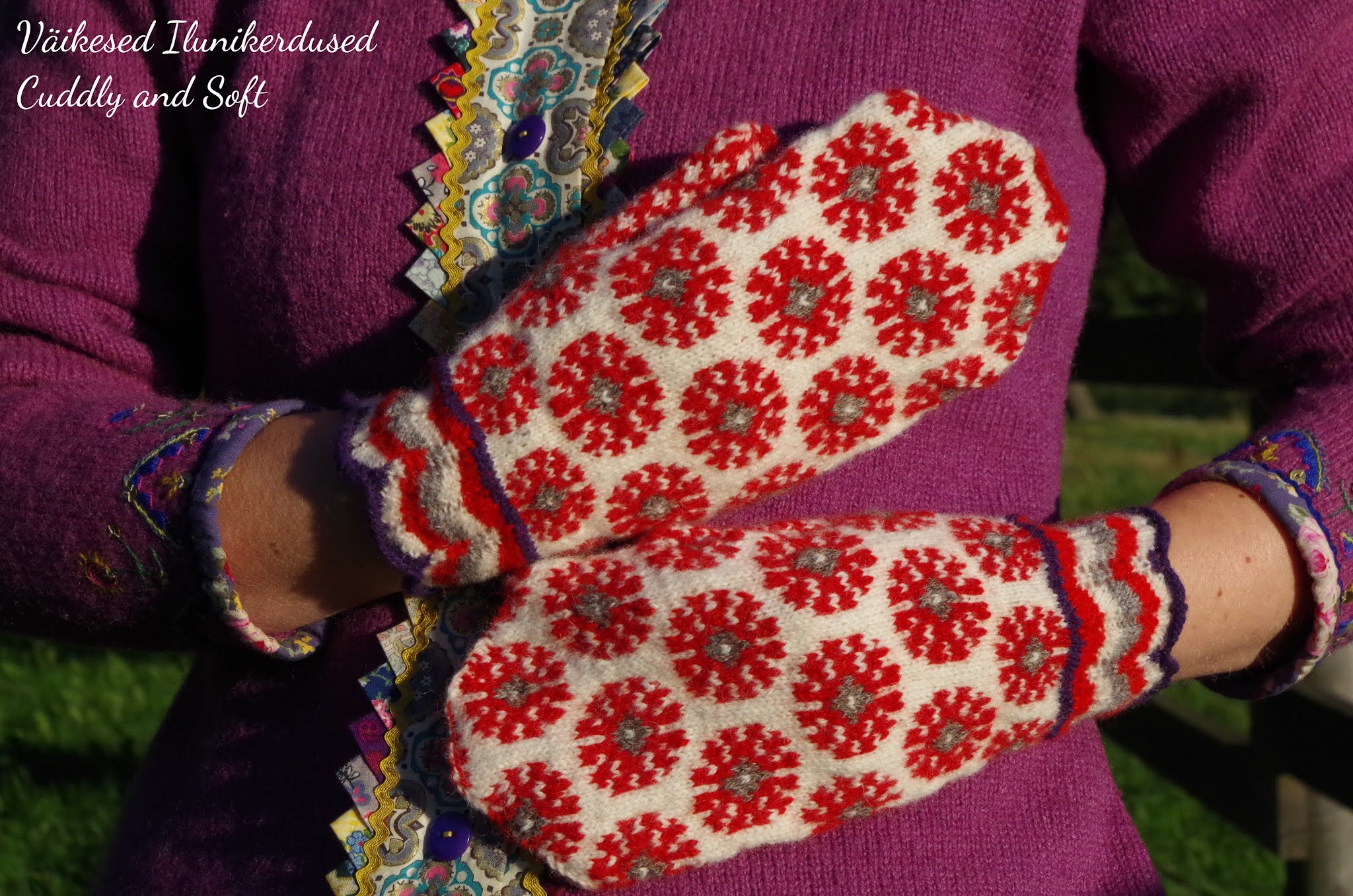 Väikesed Ilunikerdused: Petserimaa labakindad