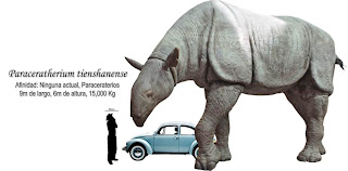 Palaeos, la historia de la Vida en la Tierra: 2011