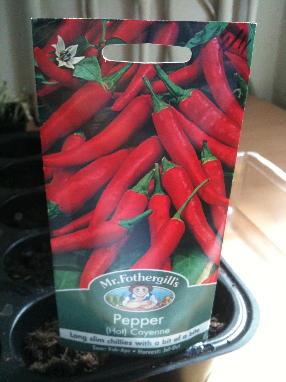 blog da cozinha: Pimenta / Chilli Pepper