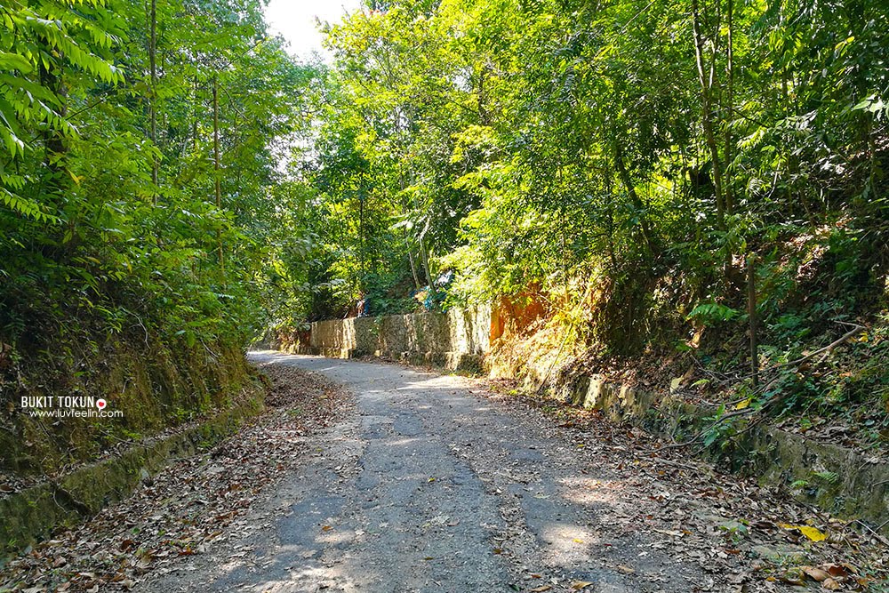Bukit Tokun 大山脚【卓坤山】孟光水坝 | 板根大树 | 山顶电讯塔 - 乐飞翎 ♥ LUVFEELIN