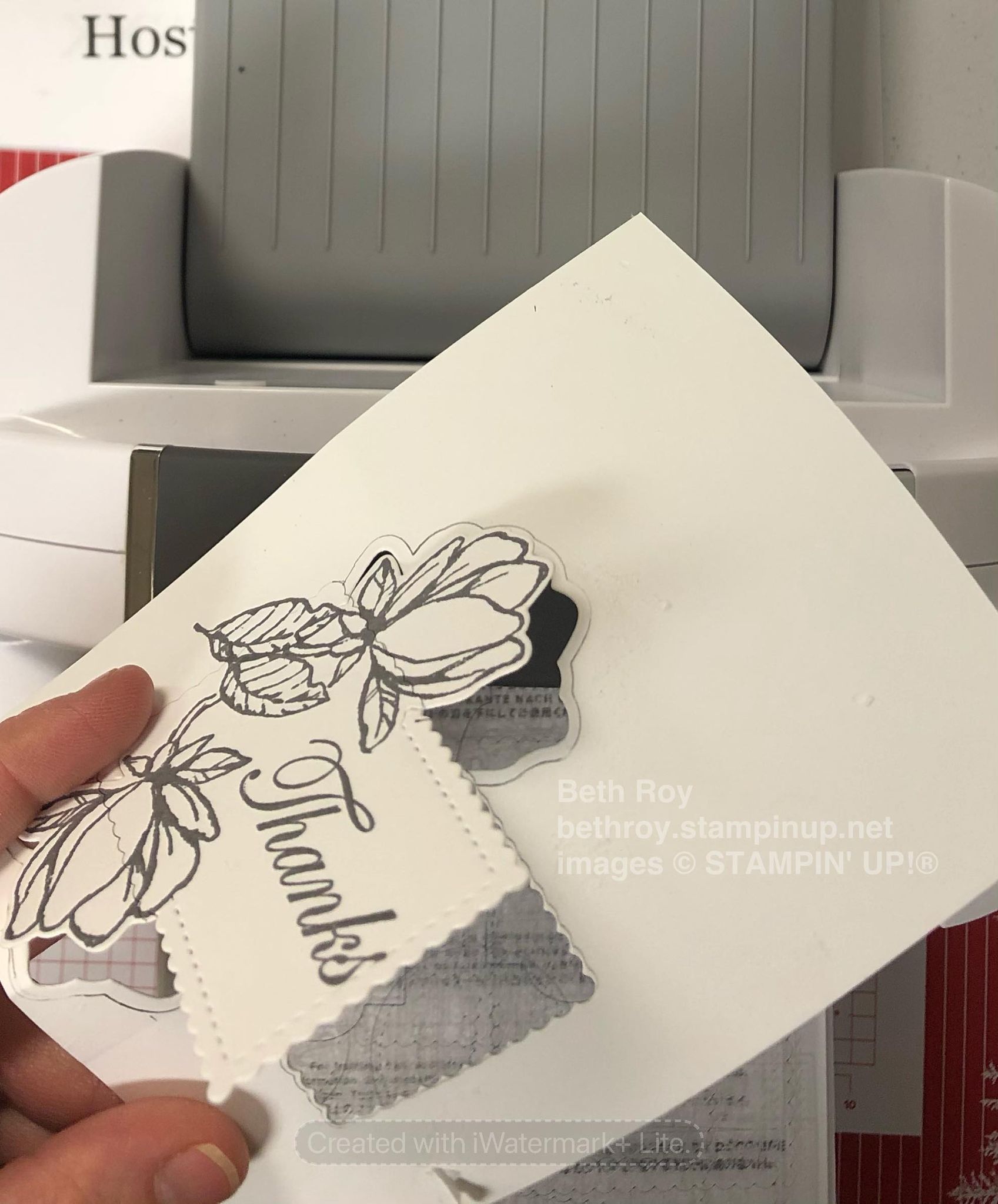 Stamp and Create with Beth: Partial Die Cut Technique