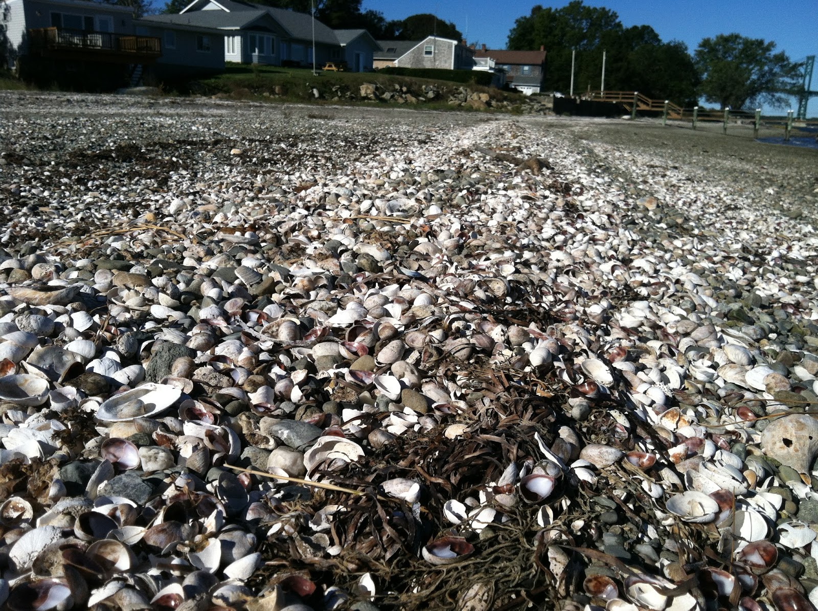 Rhode Island Adventure