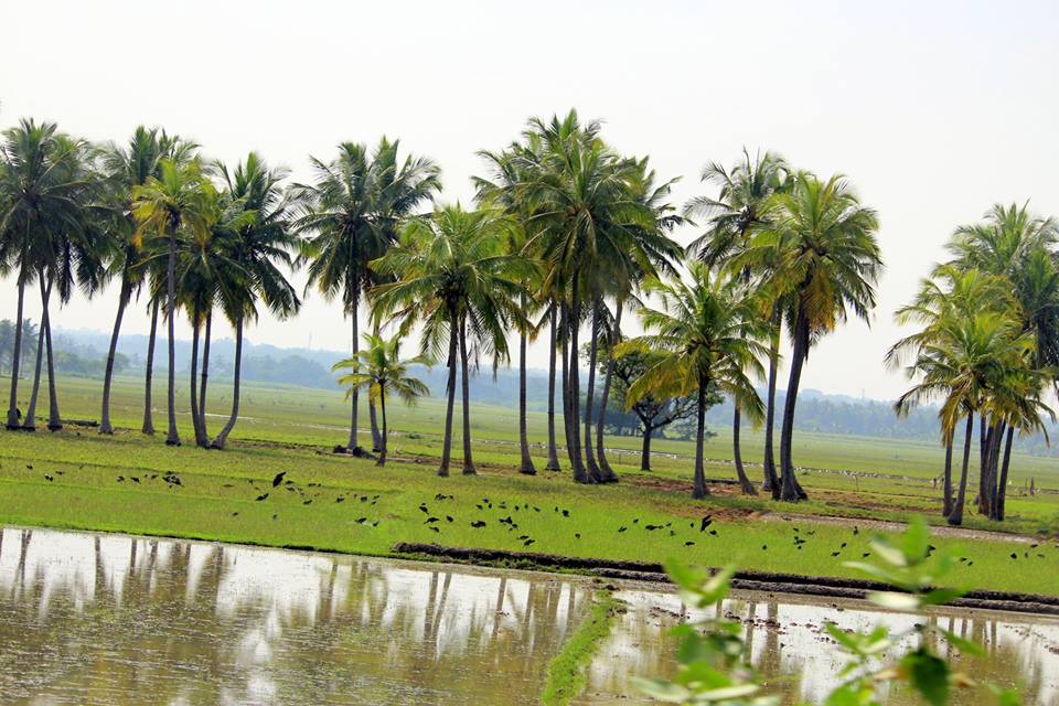 Tourist center Mandya, Karnataka - aalmaramspot