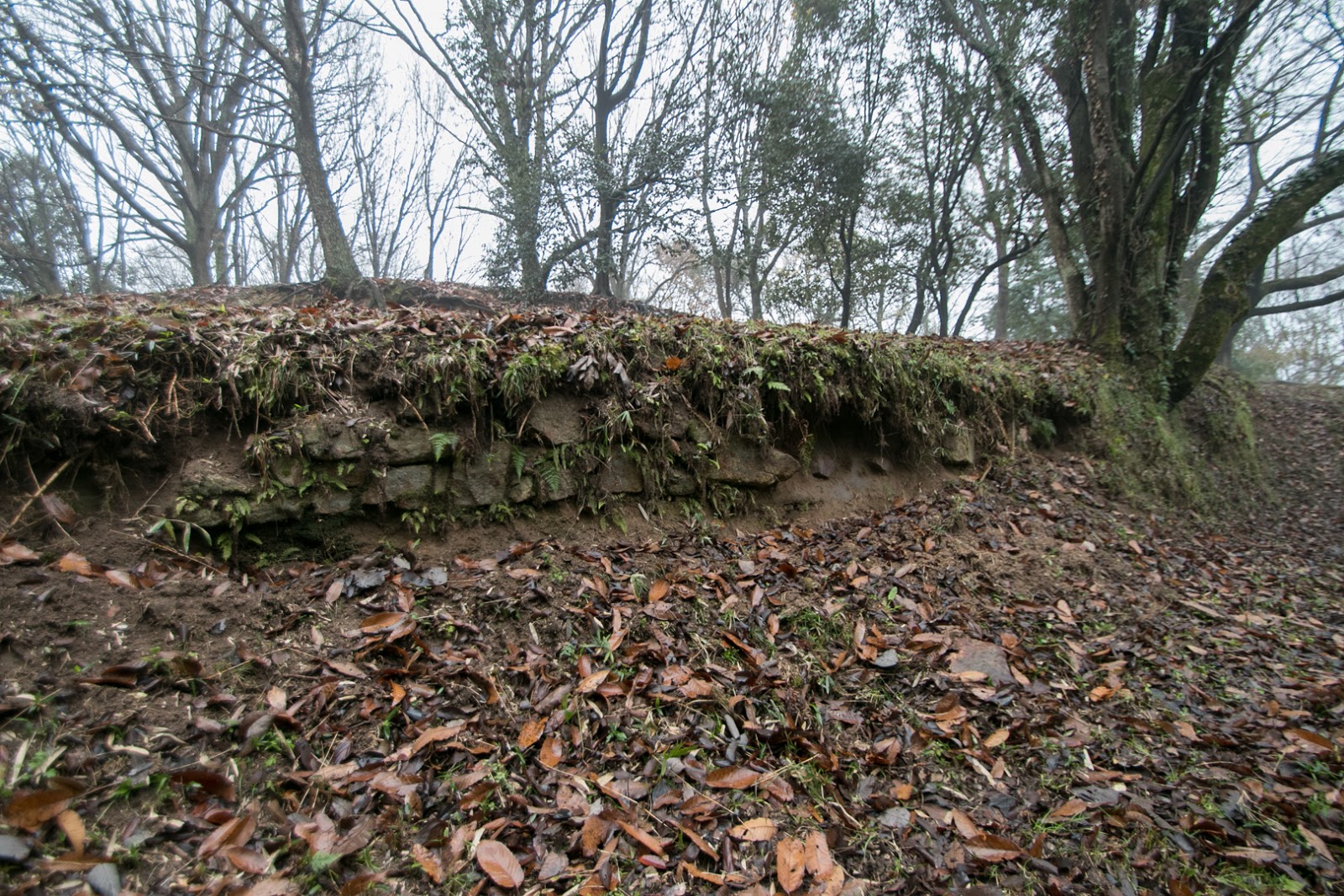 Takayama Castle (Aki) -Intellectual pillar of Mouri clan (1) take over ...