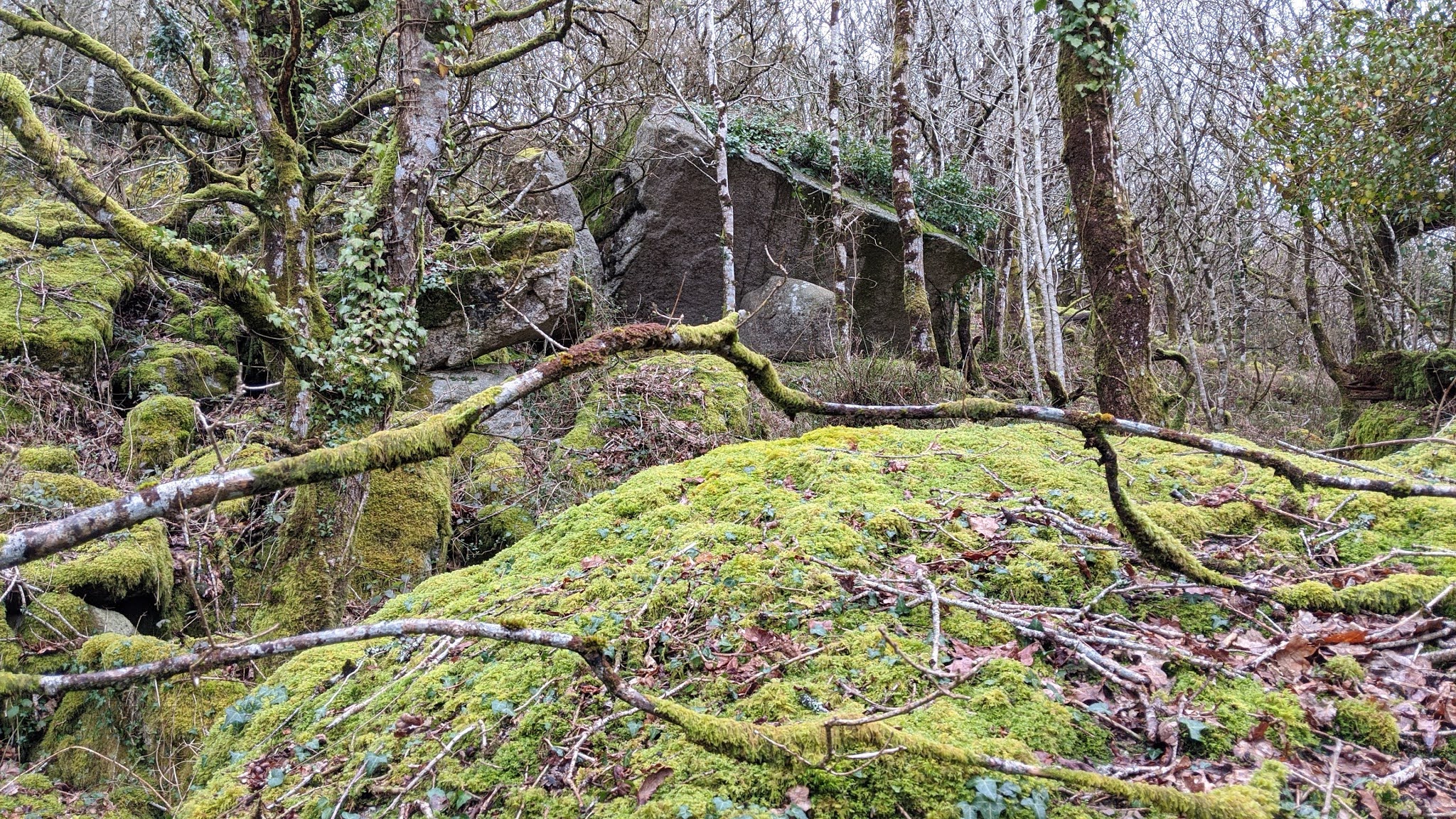 Max Piper - Tor Bagger: Bodmin Moor: De Lank Quarries and St. Breward ...