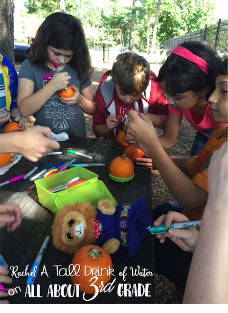 Pet Pumpkin Writing Project | All About 3rd Grade