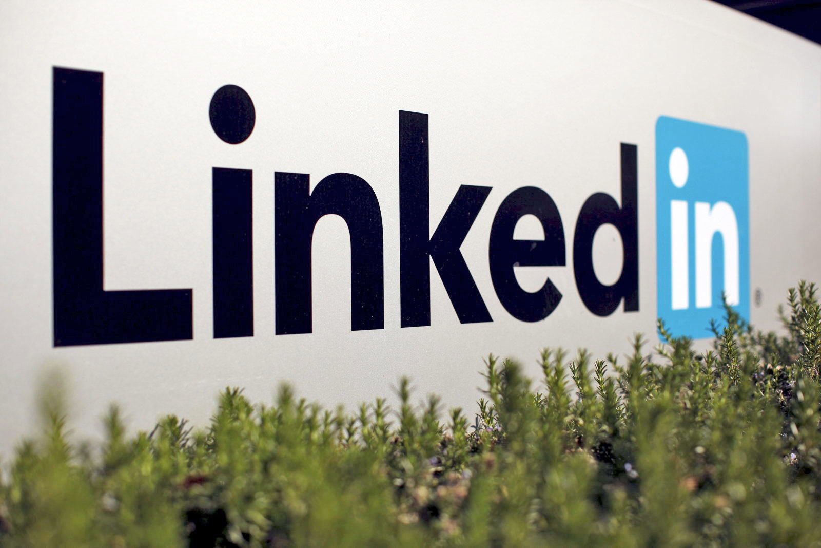 LinkedIn to become the world's biggest platform of jobs and hiring with ...