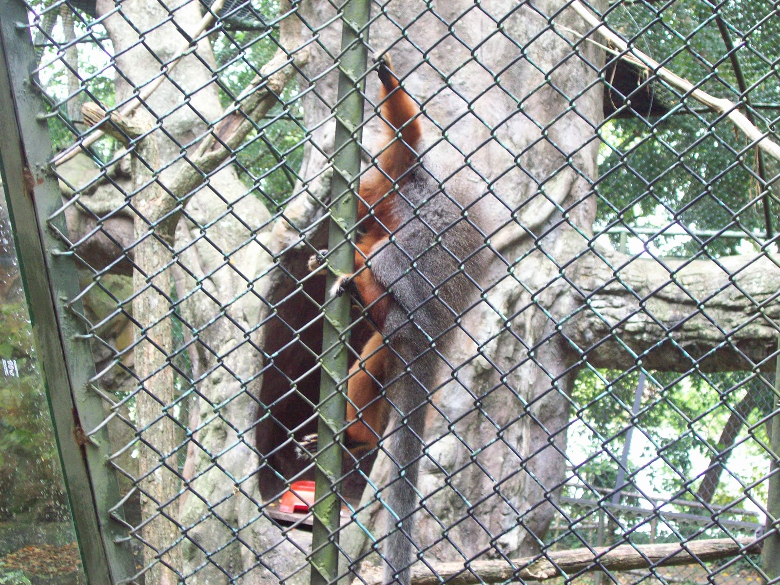 Parque Recreativo y Temático Piscilago ~ Turismo en el huila Agencia de ...
