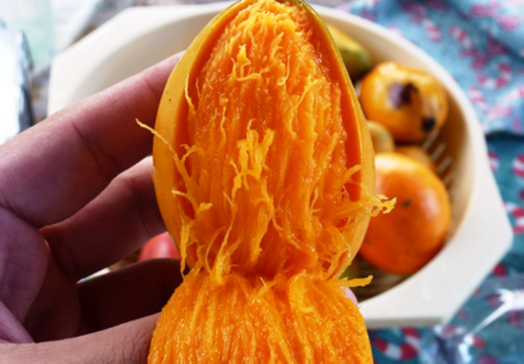 ACARIGUA en BIOGRAFÍAS: LA HISTORIA DEL MANGO EN VENEZUELA