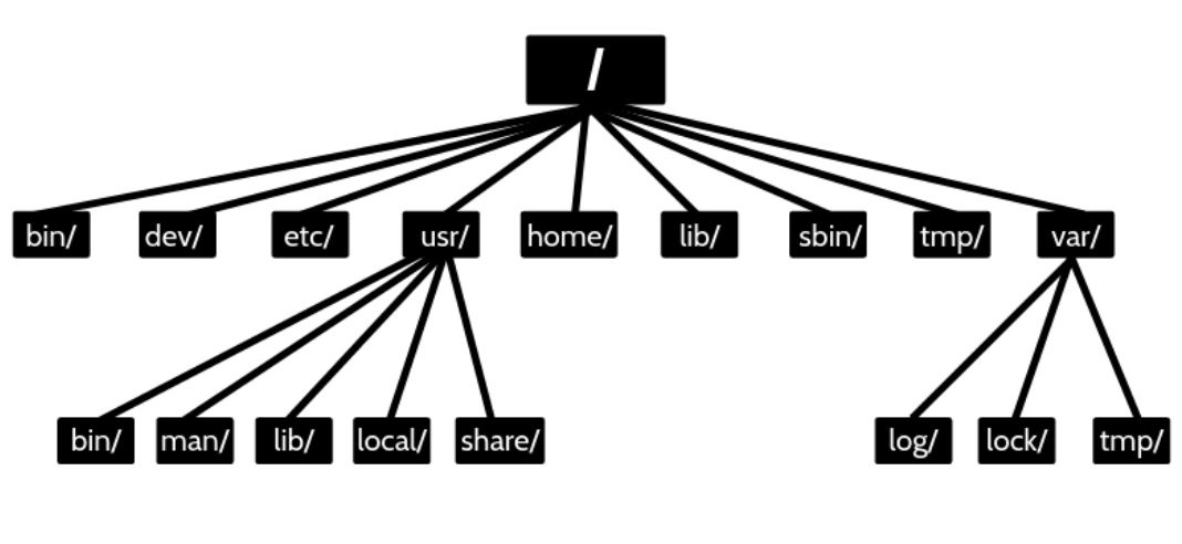 Linux OS Directory Structure - Need to Understand - Linux Tech Blog ...