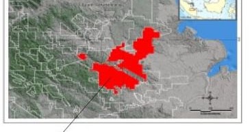 Repsol Works on Sakakemang Block, World's Largest Oil and Gas Findings ...