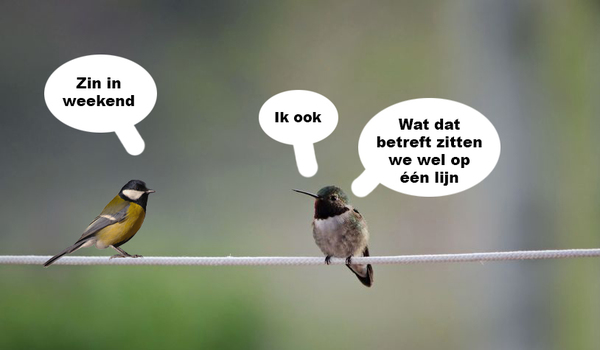 Leuk en Informatief!: Drie grappen