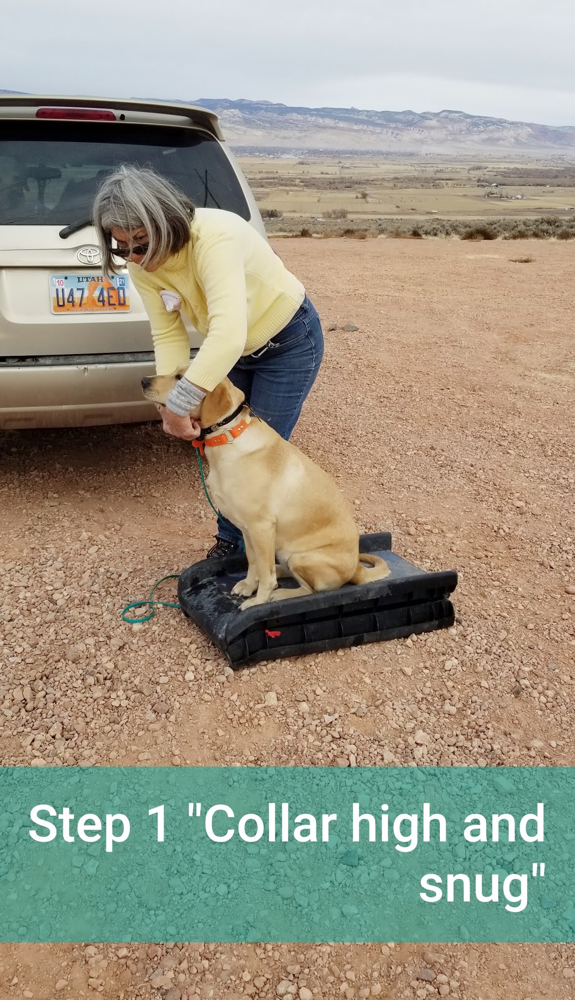 RTP Fall Into Retrieve 2022: Lesson 3: Review of photo sequences of 7 ...