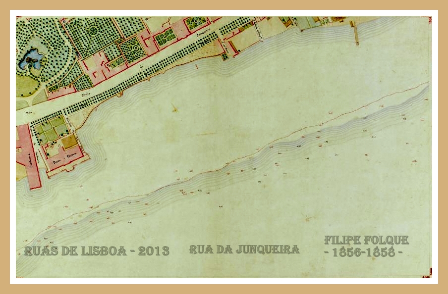 Rua da Junqueira - SAPOÊNCIA