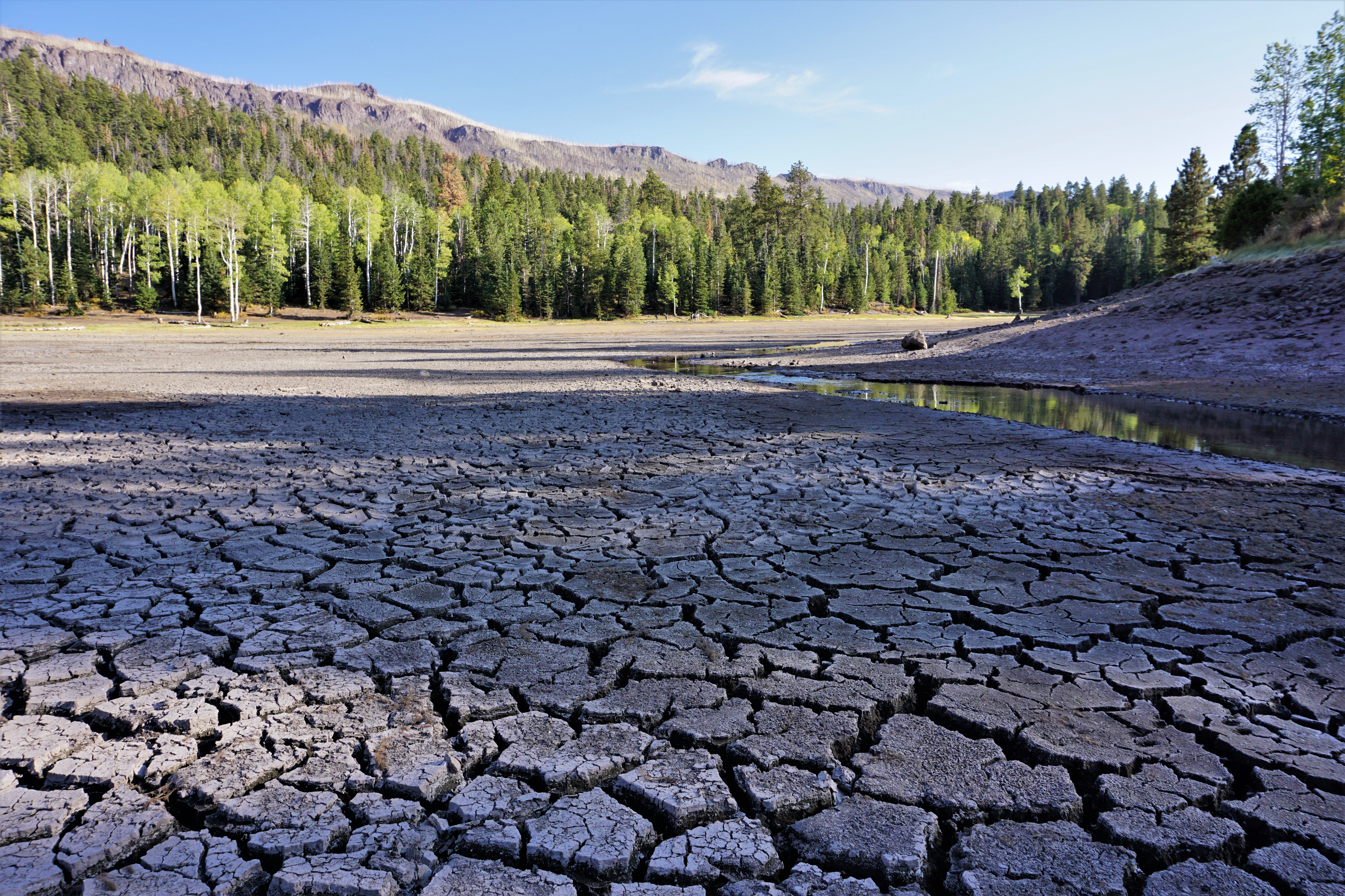 Knowledge of Rural Ways: 2020