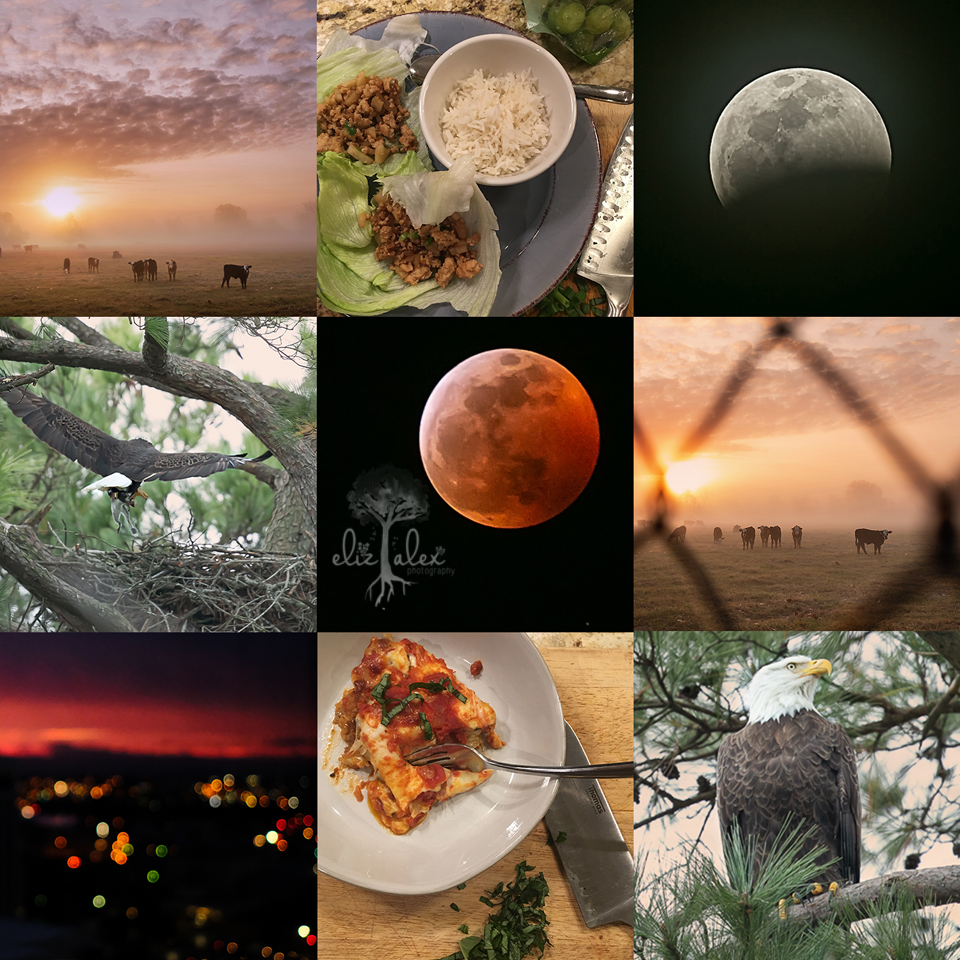 Eliz Alex Photography: The Woodlands family photographer and child ...