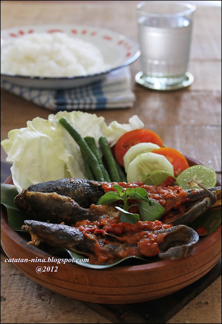 Indonesia Food Eat Topping: PENYETAN LELE